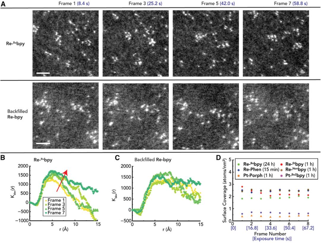 北京大学高鹏评述：Eric A. Stach等利用HAADF-STEM与机器学习确定固定化分子催化剂的表面覆盖和分布率