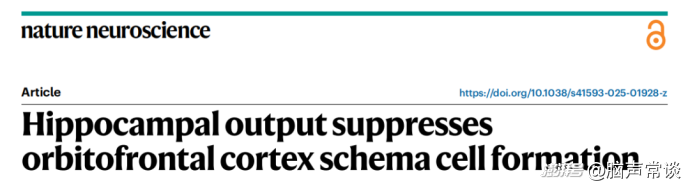 Nat neurosci：为何大脑适应新环境速度因人而异？科学家揭示海马抑制眶额皮层模式细胞形成机制_澎湃号·湃客_澎湃新闻-The Paper