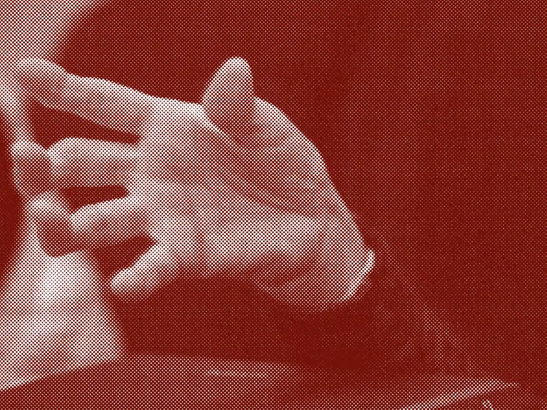 张涛：方舟物语_澎湃号·湃客_澎湃新闻-The Paper