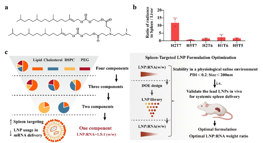 复旦大学邱敏团队开发单组分LNP递送系统，用于mRNA癌症疫苗_澎湃号·湃客_澎湃新闻-The Paper