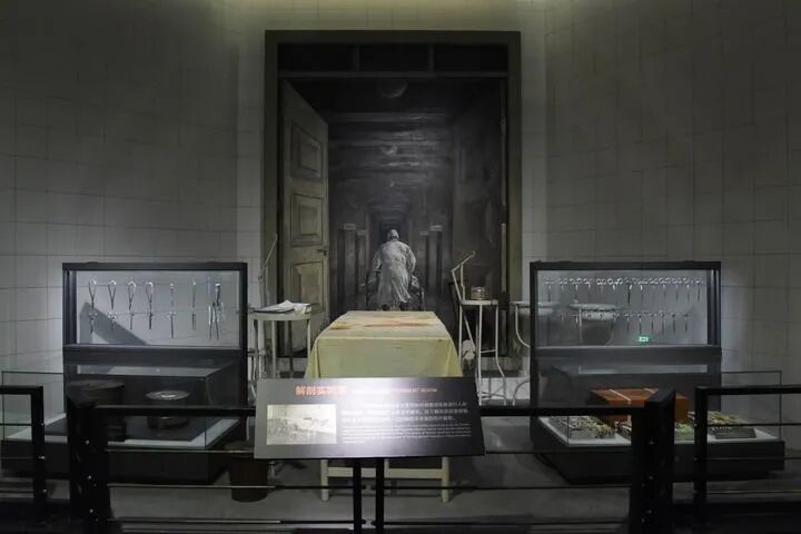 《反人类暴行》，历史悲剧不能重演！_澎湃号·政务_澎湃新闻-The Paper