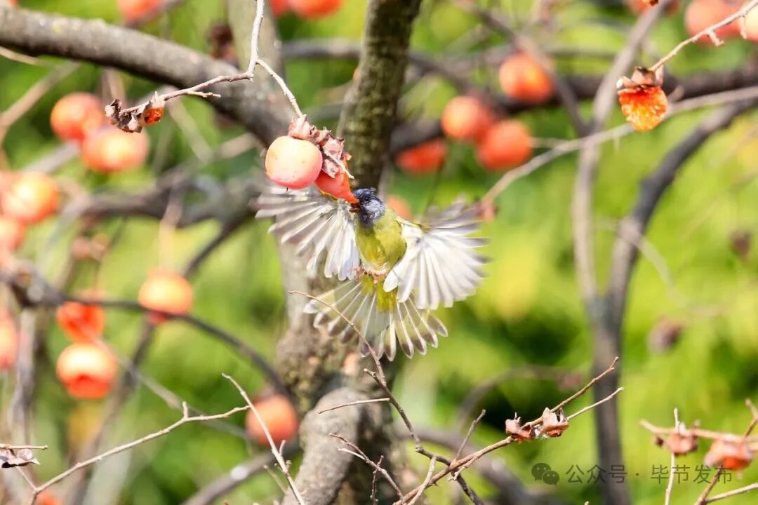首次记录！_澎湃号·政务_澎湃新闻-The Paper