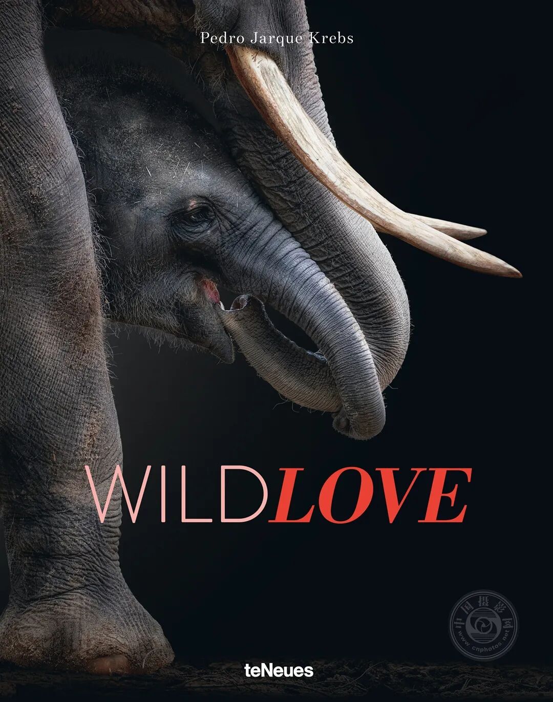 专业组 | 2025年IPA国际摄影大奖赛（书籍类）获奖作品公布（中）_澎湃号·湃客_澎湃新闻-The Paper