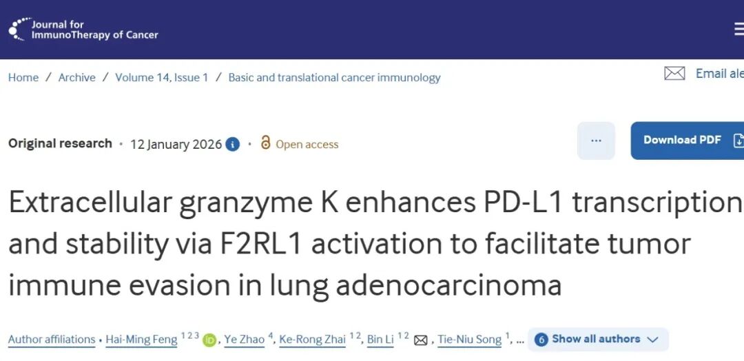 兰州大学第二医院(第二临床医学院)：克服肺腺癌免疫逃逸有前景的协同策略_澎湃号·湃客_澎湃新闻-The Paper