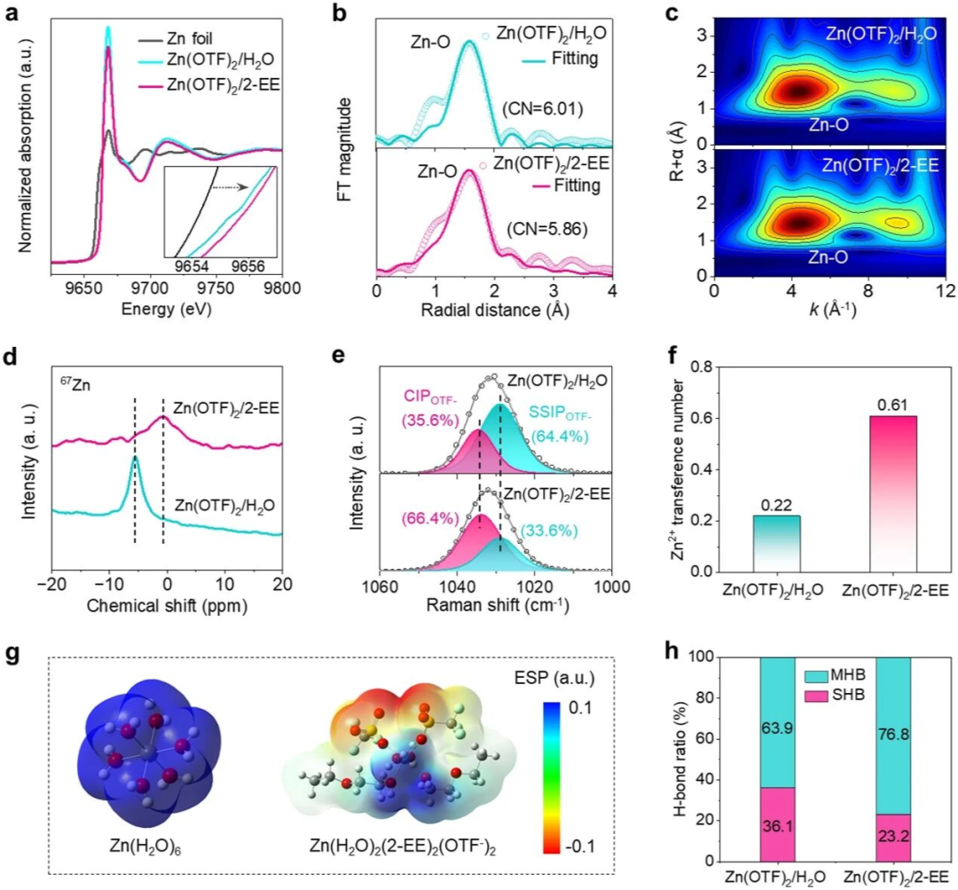 【复材资讯】水系电解液中阴离子-阳离子相互作用助力长寿命安时级水系锌金属电池_澎湃号·政务_澎湃新闻-The Paper