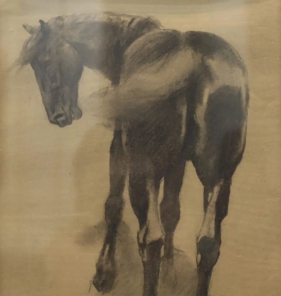 马年真的很适合来这里，限时免费3个月_澎湃号·湃客_澎湃新闻-The Paper