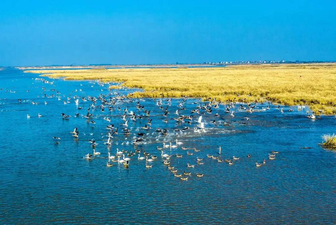 荆州，复兴崛起！_澎湃号·政务_澎湃新闻-The Paper