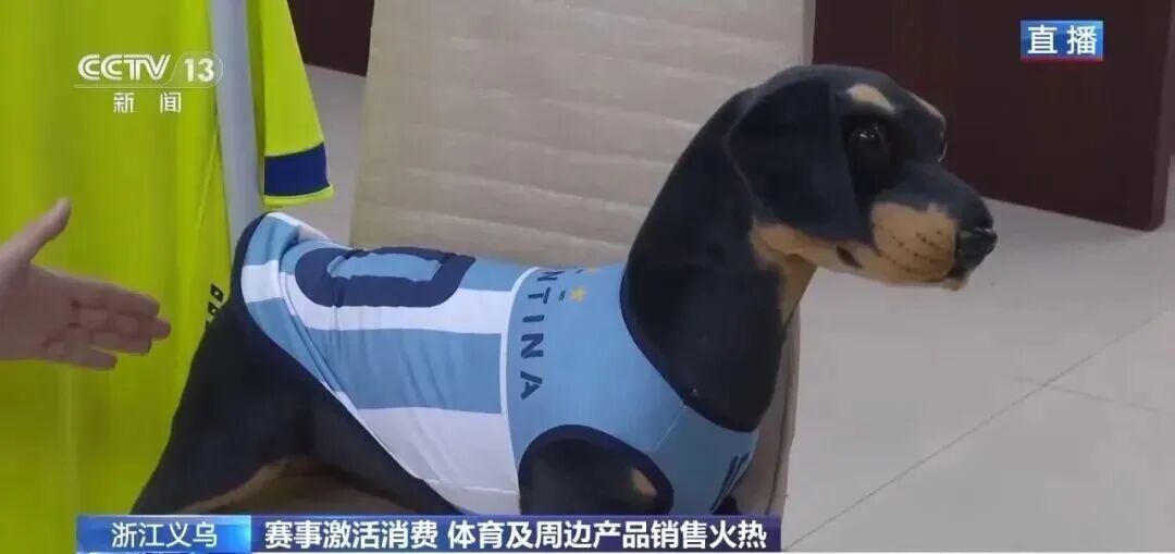 义乌，又爆单了！_澎湃号·媒体_澎湃新闻-The Paper