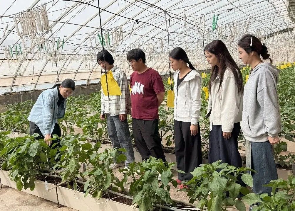 解锁田间“实践课”！喀什大学学子沉浸式体验现代农业技术_澎湃号·政务_澎湃新闻-The Paper